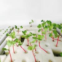 China OEM Hydroponic Seedling Sponge Eco Friendly High Absorption Hydroponic Grow Sponges for sale