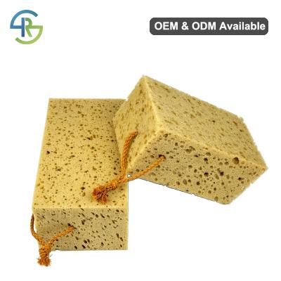 China Customizable Car Cleaning Sponge Coral Car Wash Sponge High Absorbent for sale