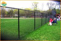 China 11 Gauge 50x50 Chain Link Wire Fence For Sport Court Applications for sale