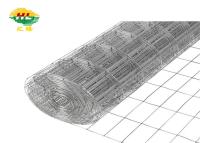 China 50X50mm Mesh Galvanized Construction Welded Wire Mesh Rolls 19Gauge for sale