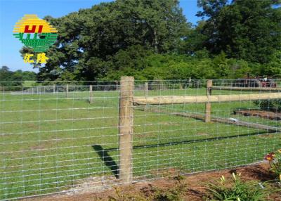 China 5ft Height Galvanized Hinge Joint Wire Mesh For Sheep Or Cattle Farm Fence for sale