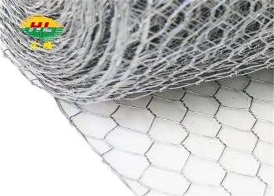 China Hot Dipped Galvanized Hexagonal Wire Netting 1 4 Inch for sale
