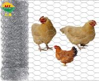 China Chicken Coop Galvanized Hexagonal Wire Mesh 3/4 Inch*1.2m*30m for sale