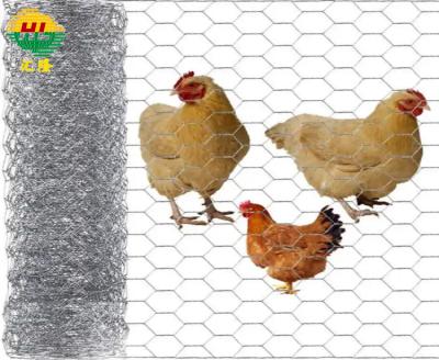 China Chicken Coop Galvanized Hexagonal Wire Mesh 3/4 Inch*1.2m*30m for sale