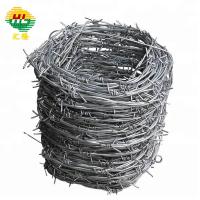 China 10-200m Length Per Coil Galvanized Barbed Wire Protection Customizable for sale
