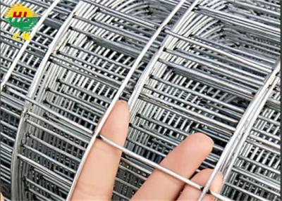 China High quality Galvanized Welded Wire Mesh Roll For consutruction and infrastructure for sale