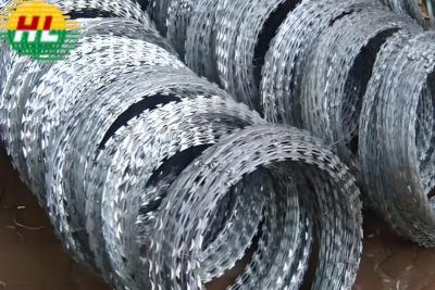 China 600mm Hot Dip Galvanized Razor Barbed Wire Protective Netting for sale
