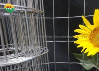 China Hot Dipped Galvanized 2