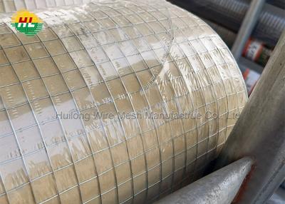 China Rodent Proofing 10 Ft Welded Wire Fencing 20GA for Small Animals Control for sale