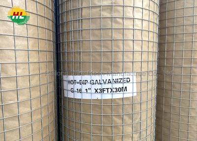 China 1 inch by 1 inch 3ft x 30m 16Gauge Hardware Cloth Galvanized Welded Wire Netting Roll for Multiple Usages for sale