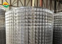 China Hot Dipped Galvanized 1/2inch Square Mesh BWG22 Wire 36in X 50ft Welded Mesh Rolls For Animals Breeding for sale