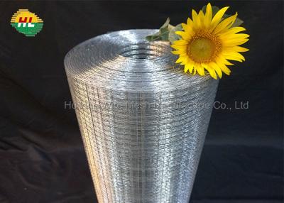 China 16Ga Galvanized 48