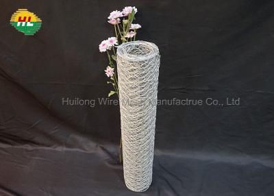 China 1/2inch Opening Hexagonal Wire Netting , 24 Gauge Galvanized Chicken Wire Mesh for sale