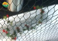 China 13.7x236 Inch Galvanised Chicken Wire Mesh 19 Gauge 22 Gauge for sale