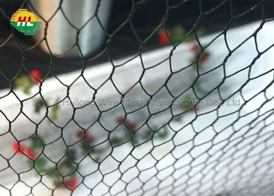 China 13.7x236 Inch Galvanised Chicken Wire Mesh 19 Gauge 22 Gauge for sale