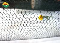 China Chicken Wire Net 13.7×157inch for Craft Projects- Galvanized Metal Hexagonal Wire Netting, Lightweight Mesh Wire for sale