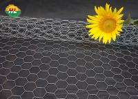 China Galvanized 1.2x13x0.7mm Mesh Hexagonal Wire Netting For Pet Cages for sale