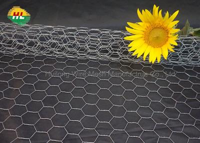 China Galvanized 1.2x13x0.7mm Mesh Hexagonal Wire Netting For Pet Cages for sale