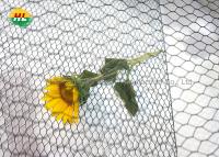 China 13mm Mesh Opening Hexagonal Wire Netting , 20 GA Galvanized Chicken Mesh for sale