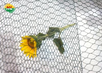 China 13mm Mesh Opening Hexagonal Wire Netting , 20 GA Galvanized Chicken Mesh for sale