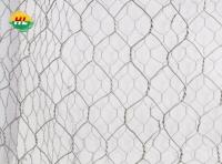 China 1x25m Hexagonal Wire Netting 0.7mm Wire Diameter 1 Inch Mesh for sale