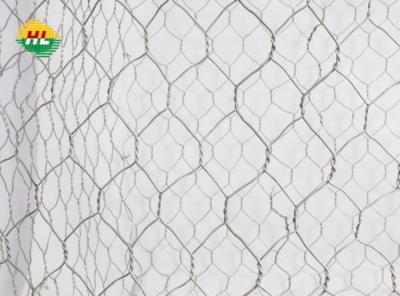 China 1x25m Hexagonal Wire Netting 0.7mm Wire Diameter 1 Inch Mesh for sale