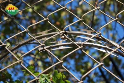 China 2.5mm Galvanized Razor Barbed Wire for sale