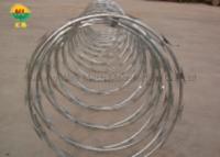 China CBT-65 Hot Dipped Security Razor Barbed Wire Fence Made Of Galvanized Steel for sale