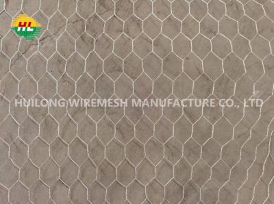 China 4ftx50ft Hexagonal Wire Netting For Animal Plants Diy Crafts for sale
