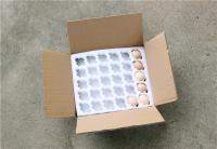 China 30cm High Density Foam Chemical Resistant Moisture Absorption for sale