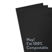 China Practical Mailing Biodegradable Plastic Bags Tearproof Recyclable for sale