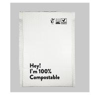 China Practical Mailing Biodegradable Plastic Bags Tearproof Recyclable for sale