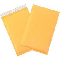 China Recyclable Envelope Protective Mailing Bag Weight Capacity 2.5 Lbs for sale