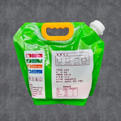 China 250ml 1L 1.5L 2.5L 5L 10L Custom Stand Up Spout Pouch Bag Foldable Outdoor Storage Drink Bag for sale