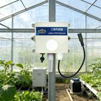 China LoRaWAN 3 in 1 Sensor | Ethylene (C2H4)/Temperature/Humidity Monitoring | Fruit and Vegetable Preservation Specific for sale