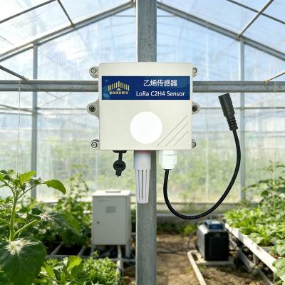 China LoRaWAN 3 in 1 Sensor | Ethylene (C2H4)/Temperature/Humidity Monitoring | Fruit and Vegetable Preservation Specific for sale