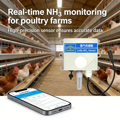 China LoRaWAN Ammonia Temperature and Humidity 3-in-1 Sensor | Livestock and Poultry Farming/Cold Storage/Industrial Safety Monitoring for sale