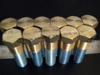 China High Performance Electric Water Heater Anode Rod Magnesium Sacrificial Anode for sale
