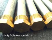 China Extruded Water Heater Magnesium Anode Rod 20mm Thickness With 20mm BSB Thread for sale