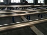 China AZ31b ZK60 ZM6 ZM2 ZM3 WE43 Magnesium Billet , Magnesium Round Bar for sale