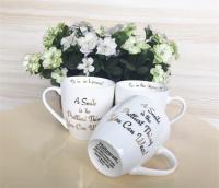 China 500ml New Bone China Coffee Mug with Gold Plated Design FDA LFGB Certified for sale