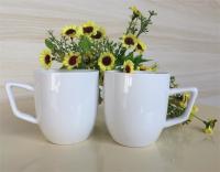 China 8oz Glazed Blank Cute And Simple Design  Ceramic Mini Coffee Cup for sale