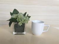 China 8oz Glazed Blank Cute And Simple Design  Ceramic Mini Coffee Cup for sale