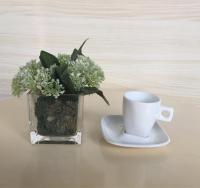 China SGS OEM Acceptable Plain White Cup And Saucer For Cappuccino for sale