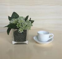China Customized Microwavable Earthenware Cups And Saucers , White Teacup And Saucer Set for sale