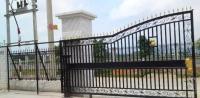 China Metal Modern Cast Iron Door Hot Dipped Galvanized For Courtryard / Garden for sale