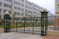 China Residential / Parks Wrought Iron Doors Swing Open Style Anti Rust Coating for sale