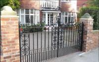 China Waterproof Courtyard Iron Gates Powder Coated Frame Finishing Black Color for sale