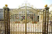 China Anti Rat Cast Iron Door Contemporary Iron Doors For Residential / School for sale