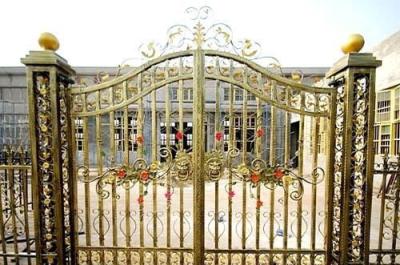 China Anti Rat Cast Iron Door Contemporary Iron Doors For Residential / School for sale